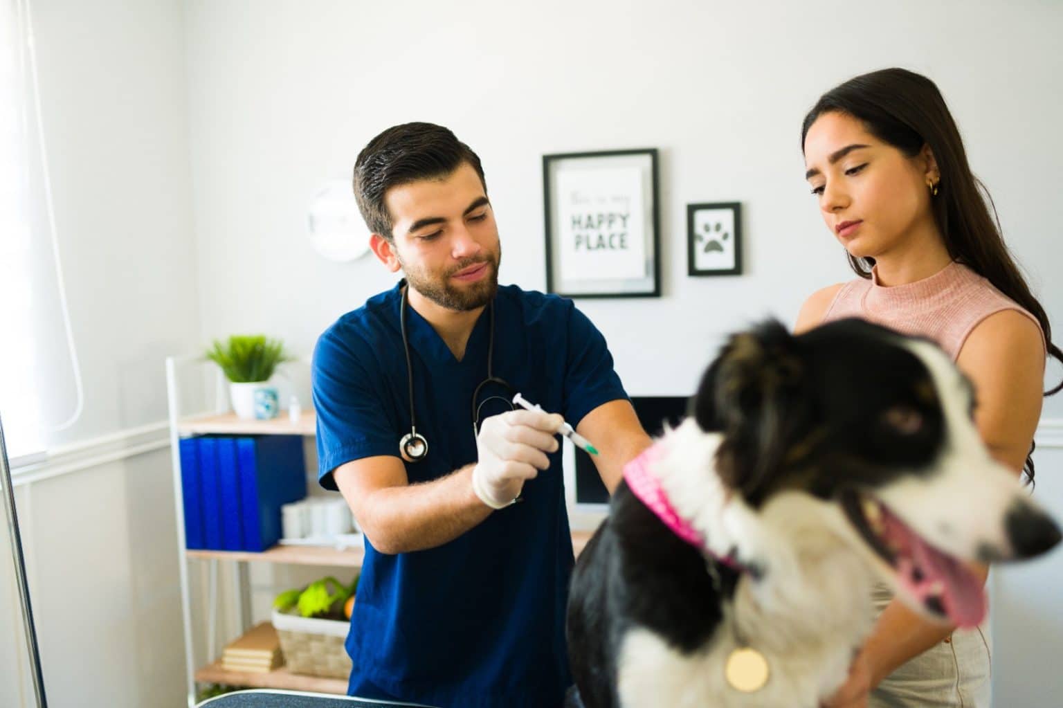 Blog - Touchwood Pharmacy