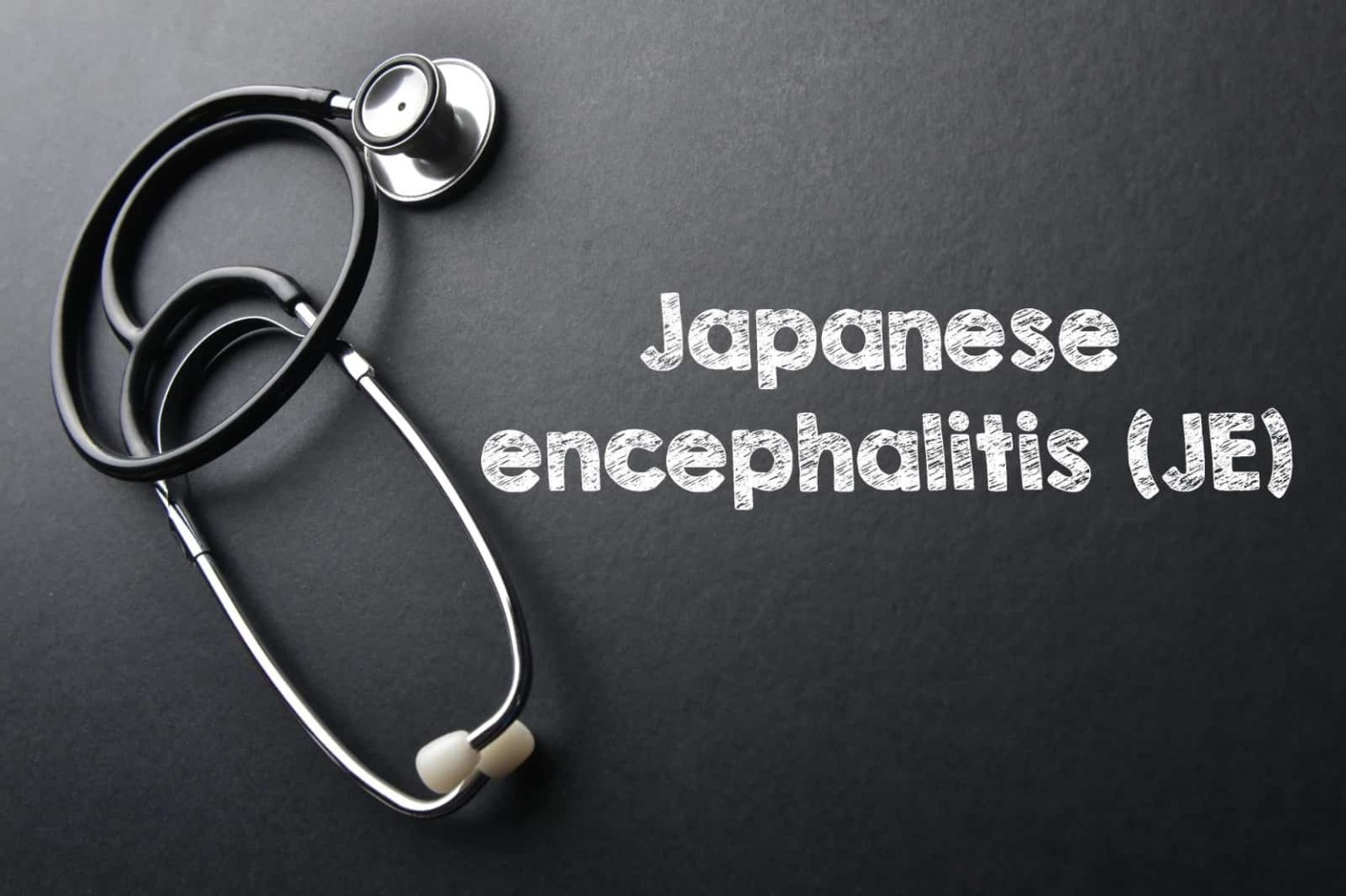 Exploring Causes Of Japanese Encephalitis While Travelling Abroad ...