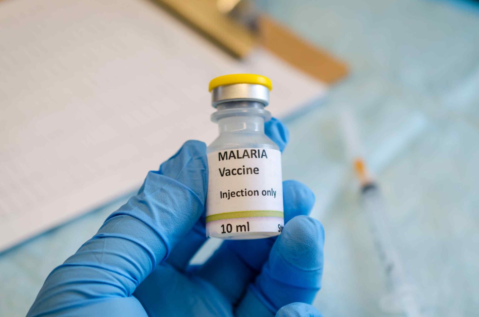 Yellow Fever vs Malaria: What Is the Difference? - Touchwood Pharmacy